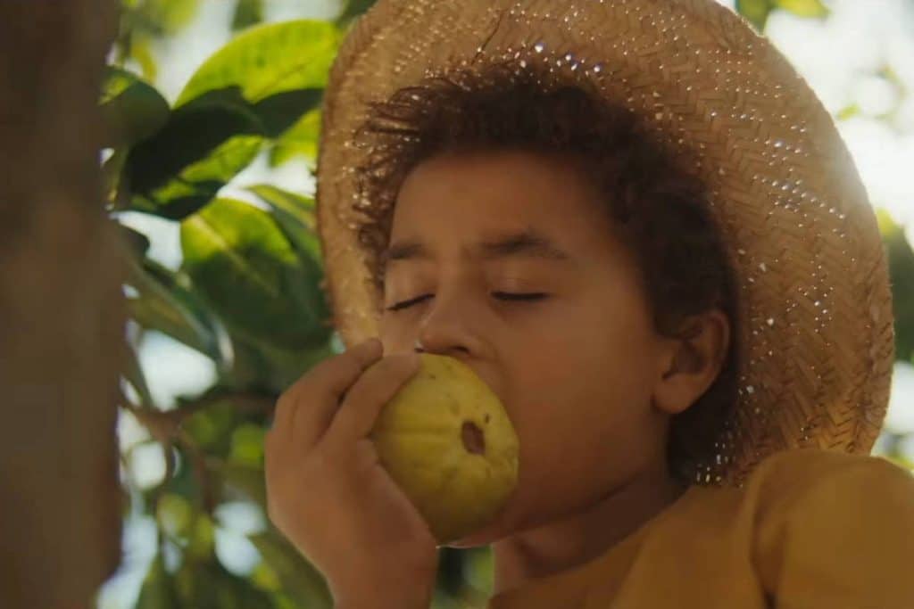 Cinema | "Chico Bento e a Goiabeira Maraviosa" traz humor e aventura ...