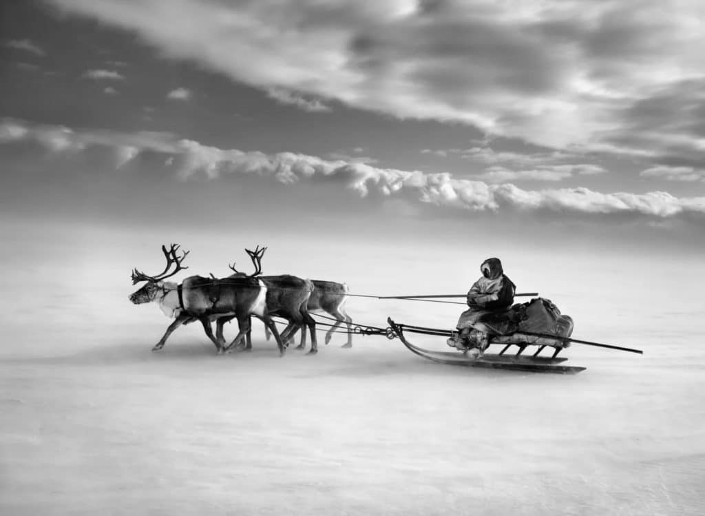Sebastião Salgado e os Nenetses - os homens do frio - Revista Prosa ...