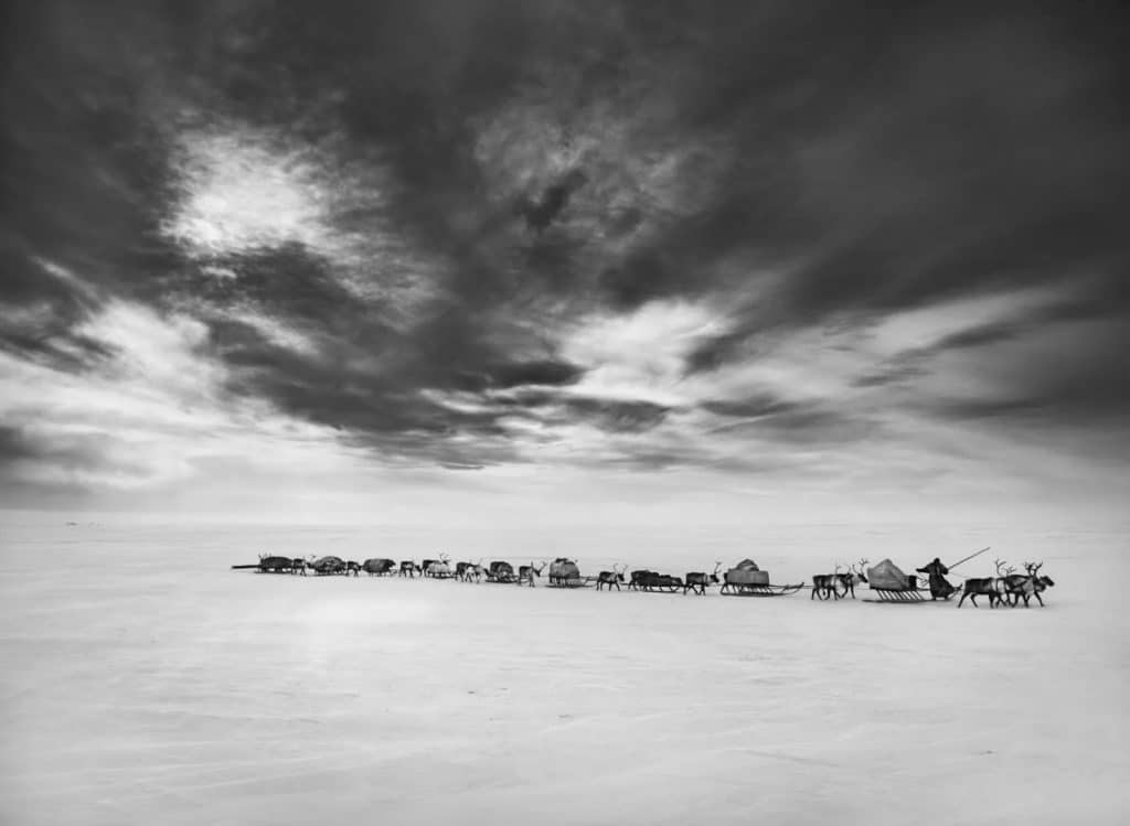 Sebastião Salgado e os Nenetses - os homens do frio